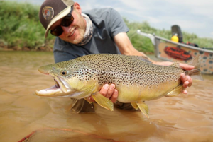 THROWING FOR PIGS – rainysflies