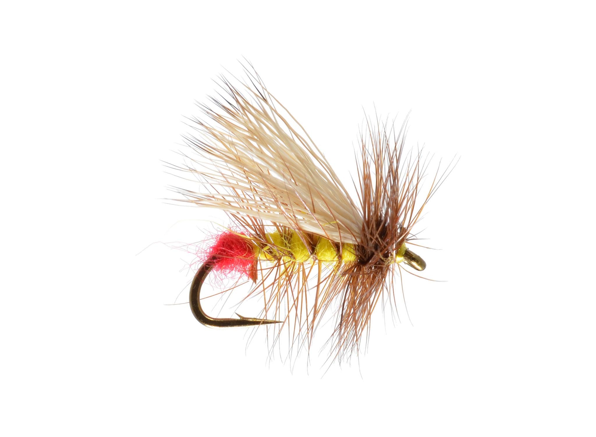 Little Yellow Sally – rainysflies