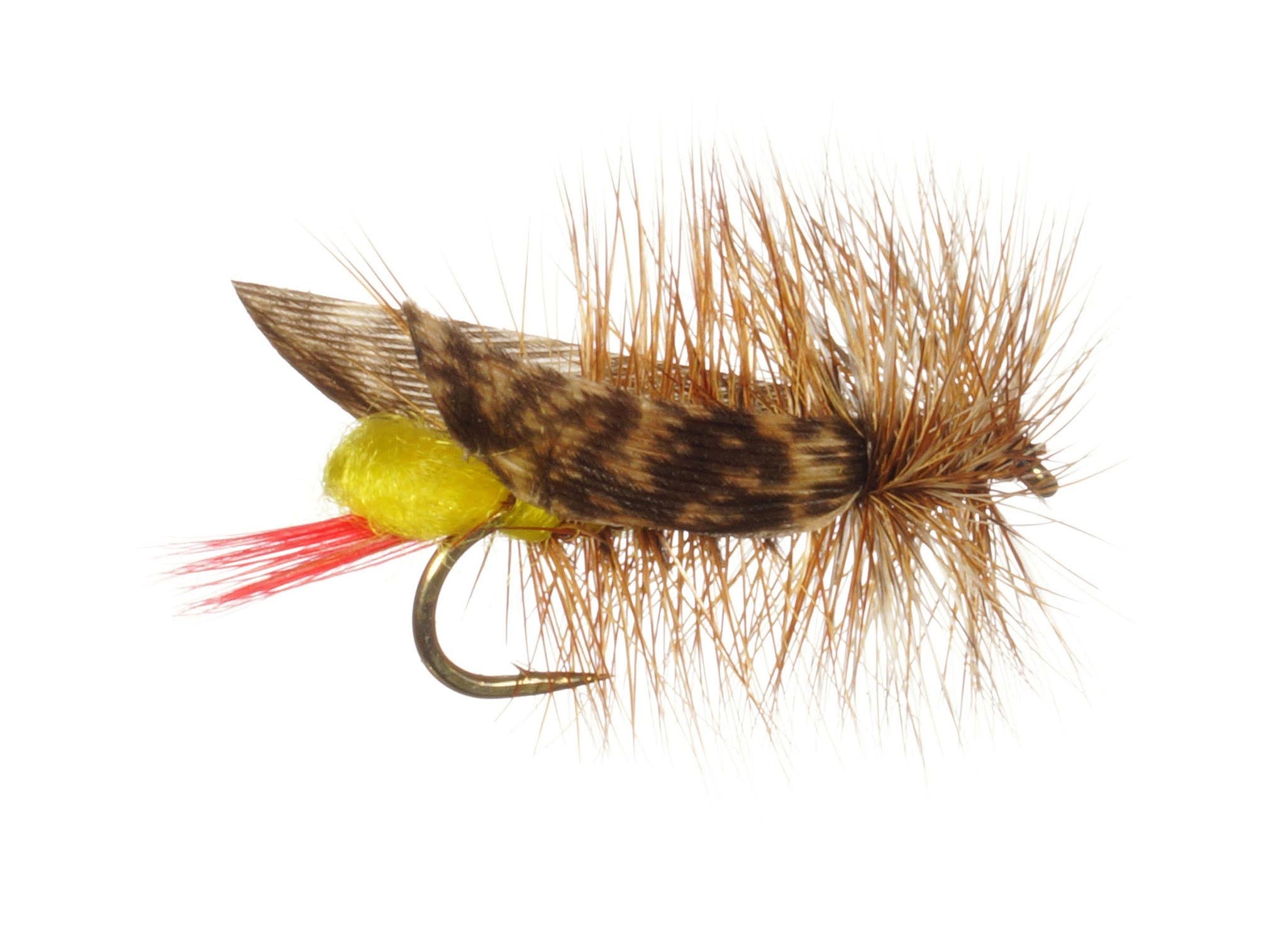 Joe S Hopper Rainysflies