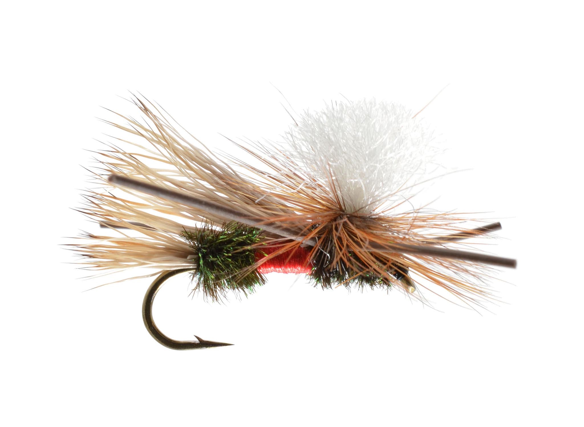 PMX - Royal – rainysflies