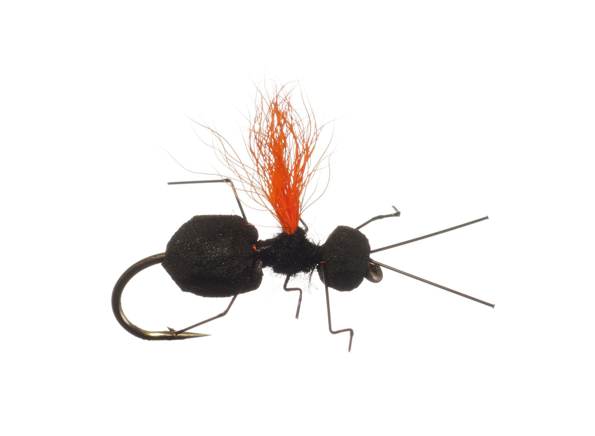 Rainy's Carpenter Ant - Black - FM – rainysflies